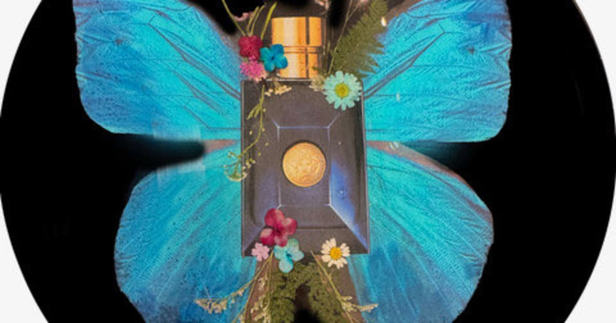 Anke Schofield | Gib Singleton Gallery