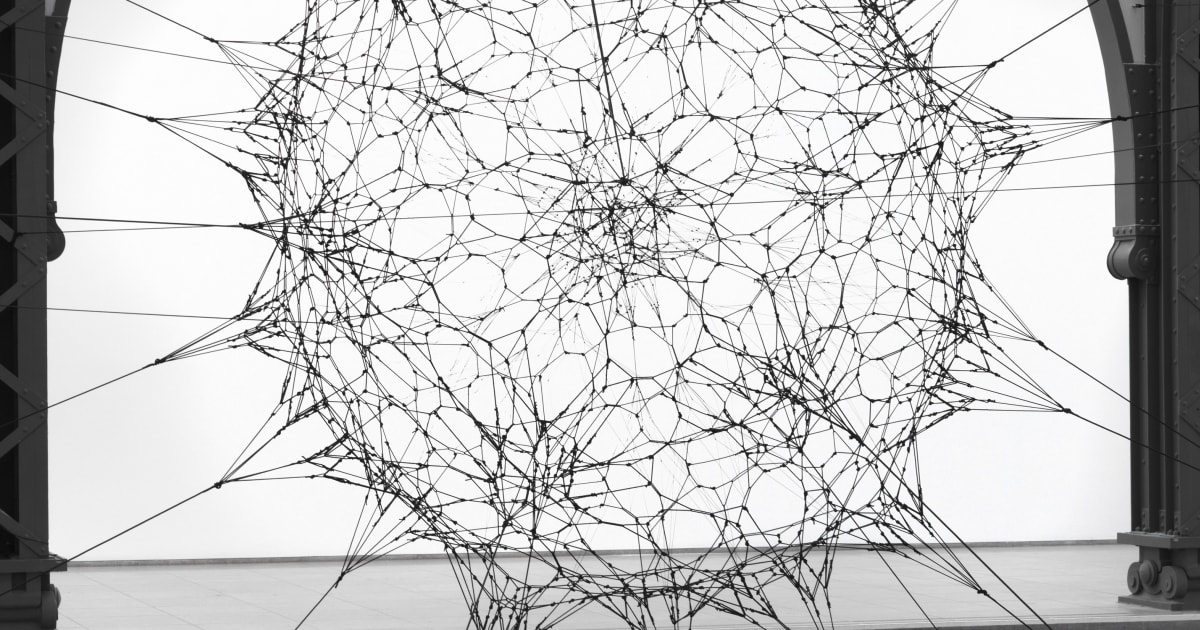Tomás Saraceno | Coleccion Balanz