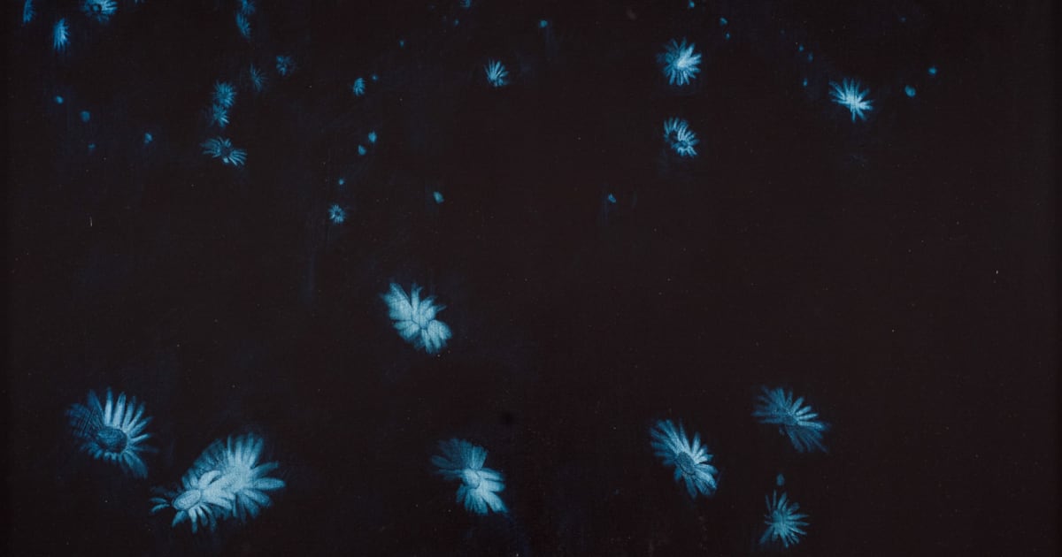 Alexander Okenyo - Works | Bett Gallery