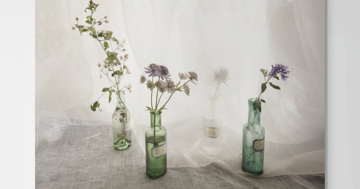 Pam Fox - Works | Bond Millen Gallery