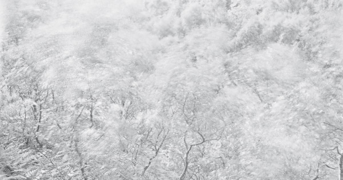 John Blakemore. Landscape and Still Life 1980-2010 | THE HYMAN COLLECTION