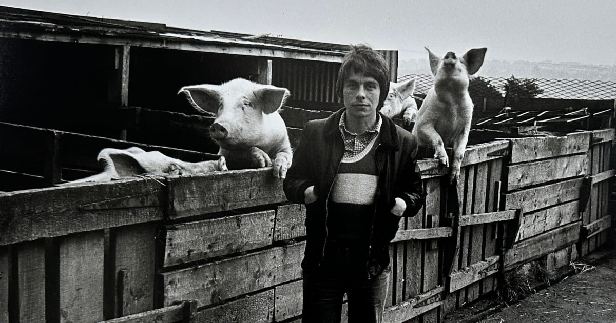 Martin Parr - Works | THE HYMAN COLLECTION