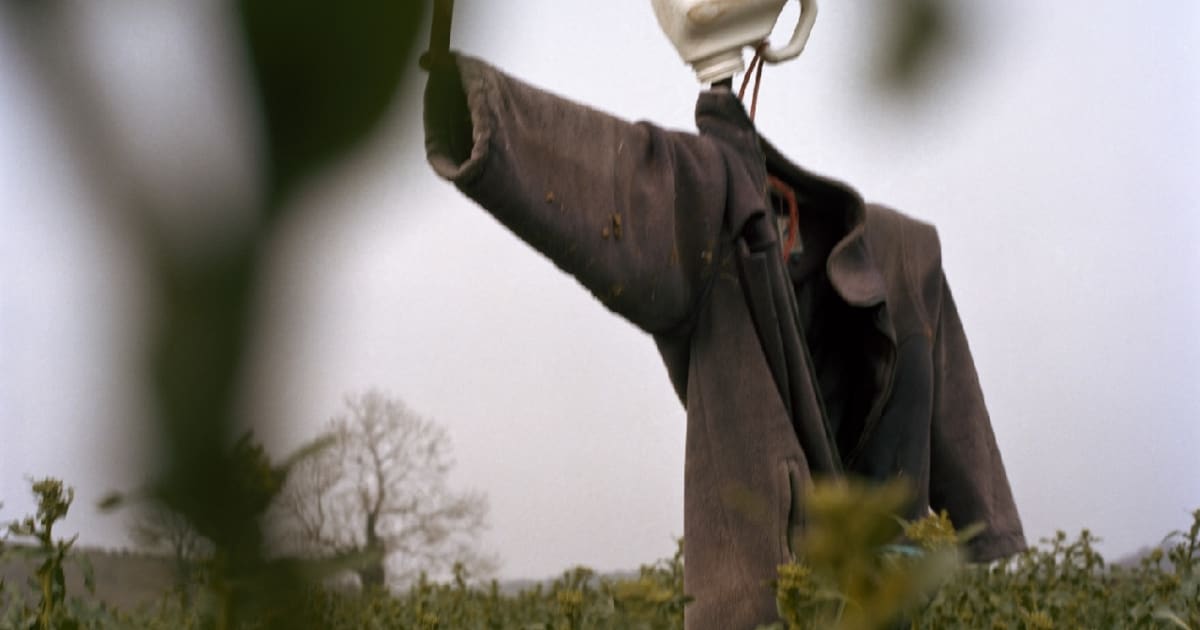 Peter Mitchell - Overview | THE HYMAN COLLECTION