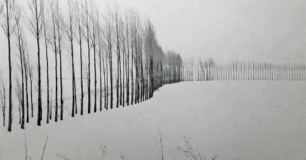 Simon Norfolk - Overview | THE HYMAN COLLECTION