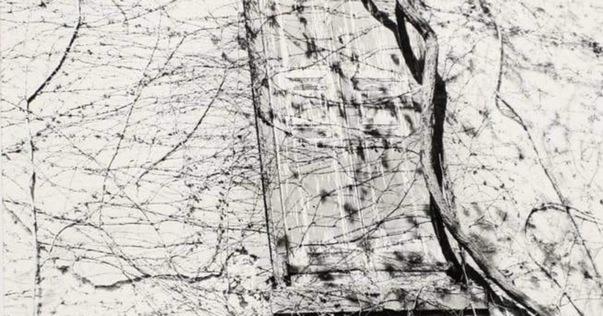 Louis Faurer | Bruce Silverstein