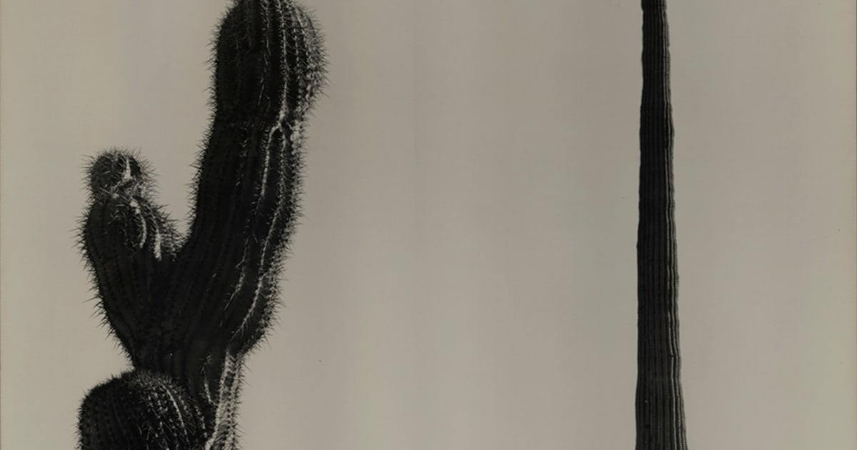 Aaron Siskind - Egan Gallery Print | Bruce Silverstein