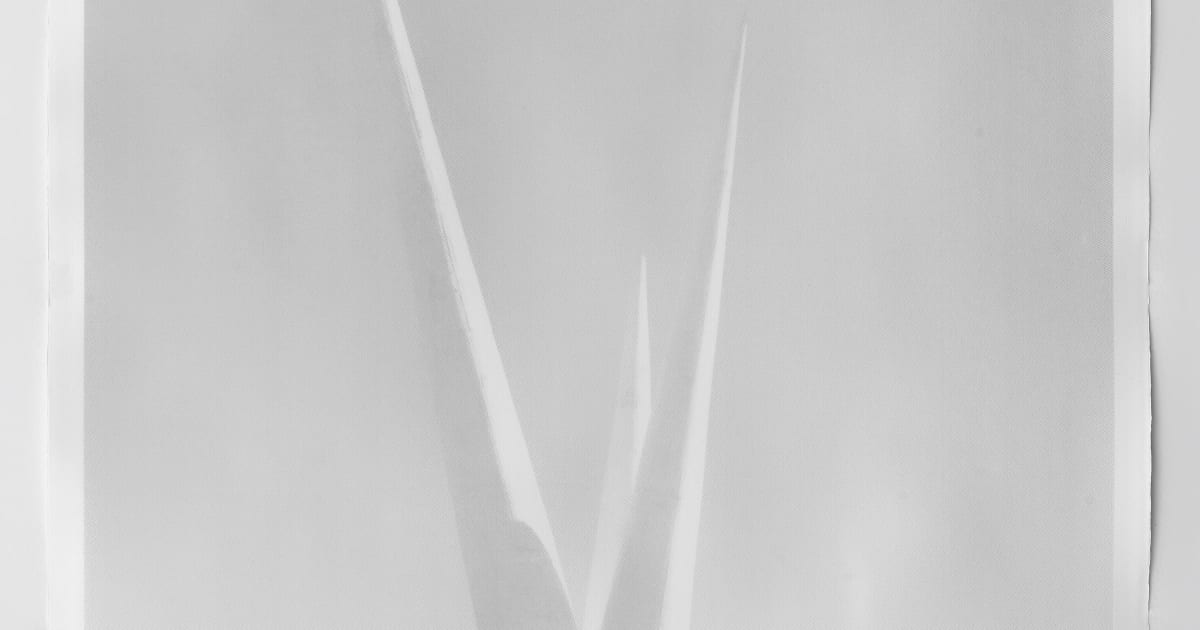 Viktor Popović - Works | C24 Gallery