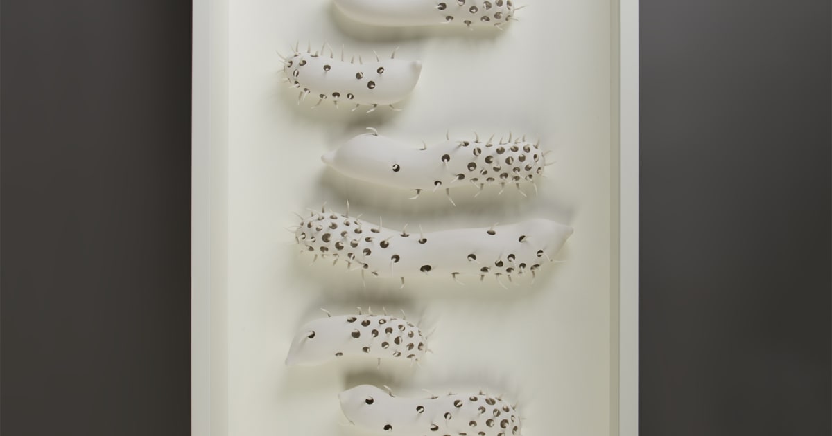 Ikuko Iwamoto | Artists | Cavaliero Finn Gallery Ltd