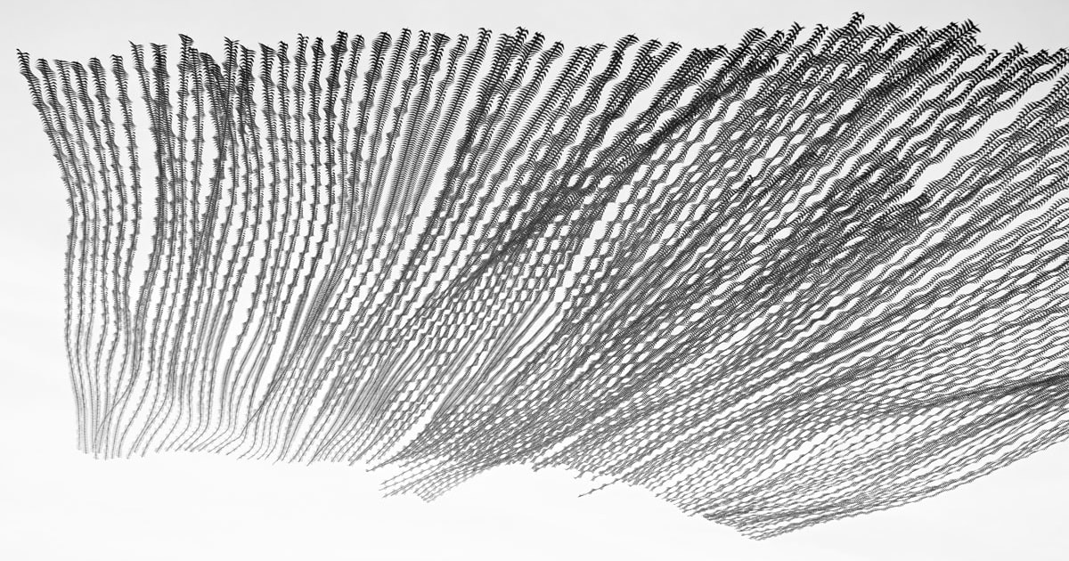 XAVI BOU, Ornithography #189, 2019 | The Cardinal Gallery