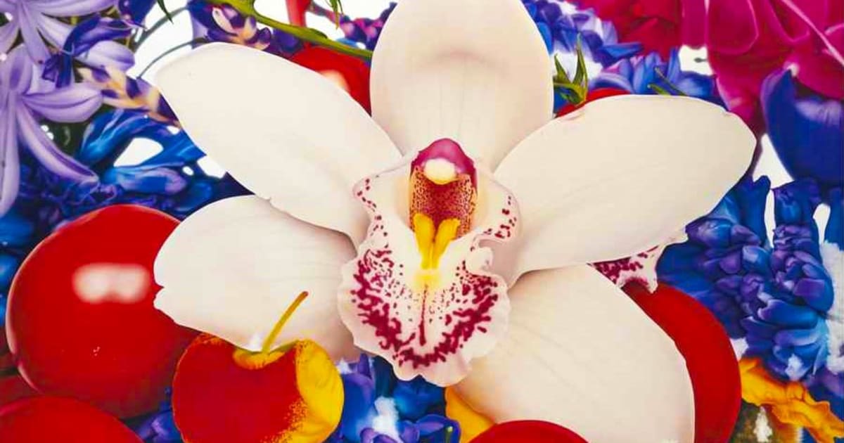 Marc Quinn | Galleria d'Arte Contini