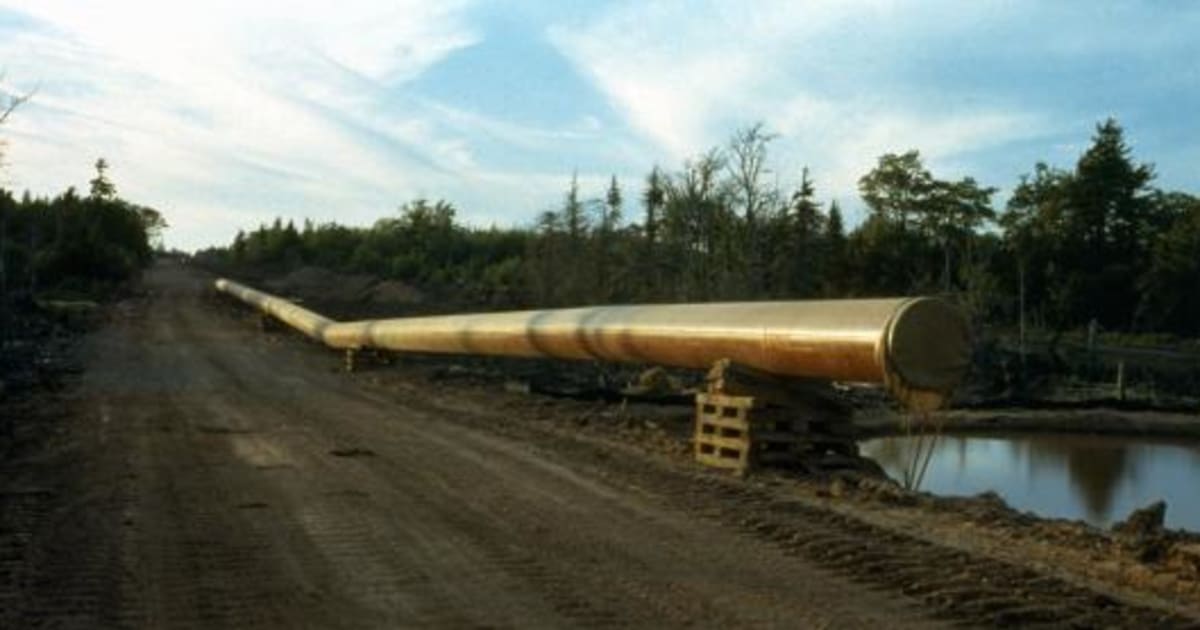 Thaddeus Holownia - Anatomy of a Pipeline | Corkin Gallery