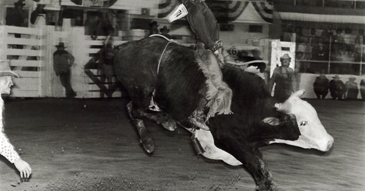 Garry Winogrand - Series | Corkin Gallery