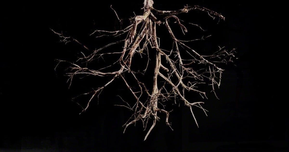 Tal Shochat - Overview | Corridor Contemporary