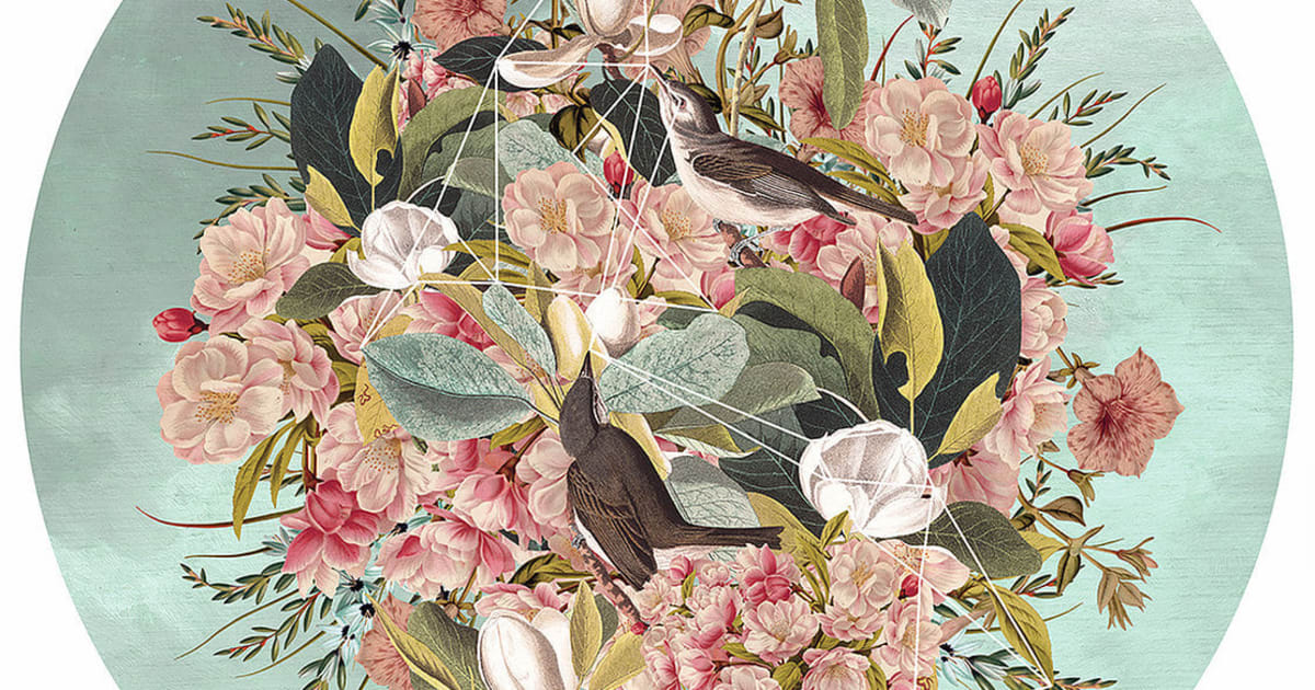 Alexandra Gallagher | Darl-e and the Bear