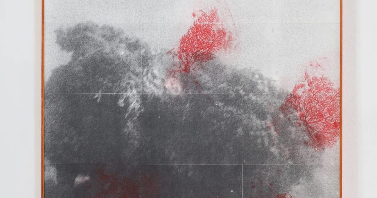 We are your eyes in the artworld. | DEMAIN