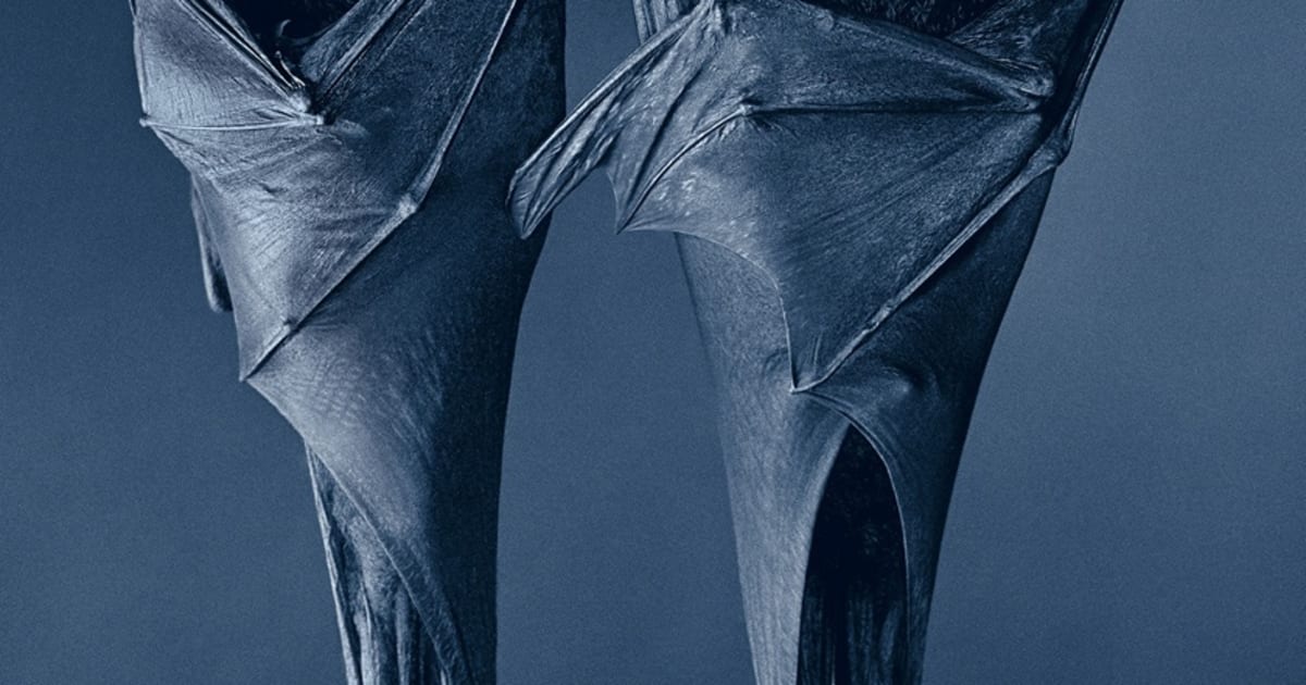 Tim Flach - More Than Humans | Echo Fine Arts