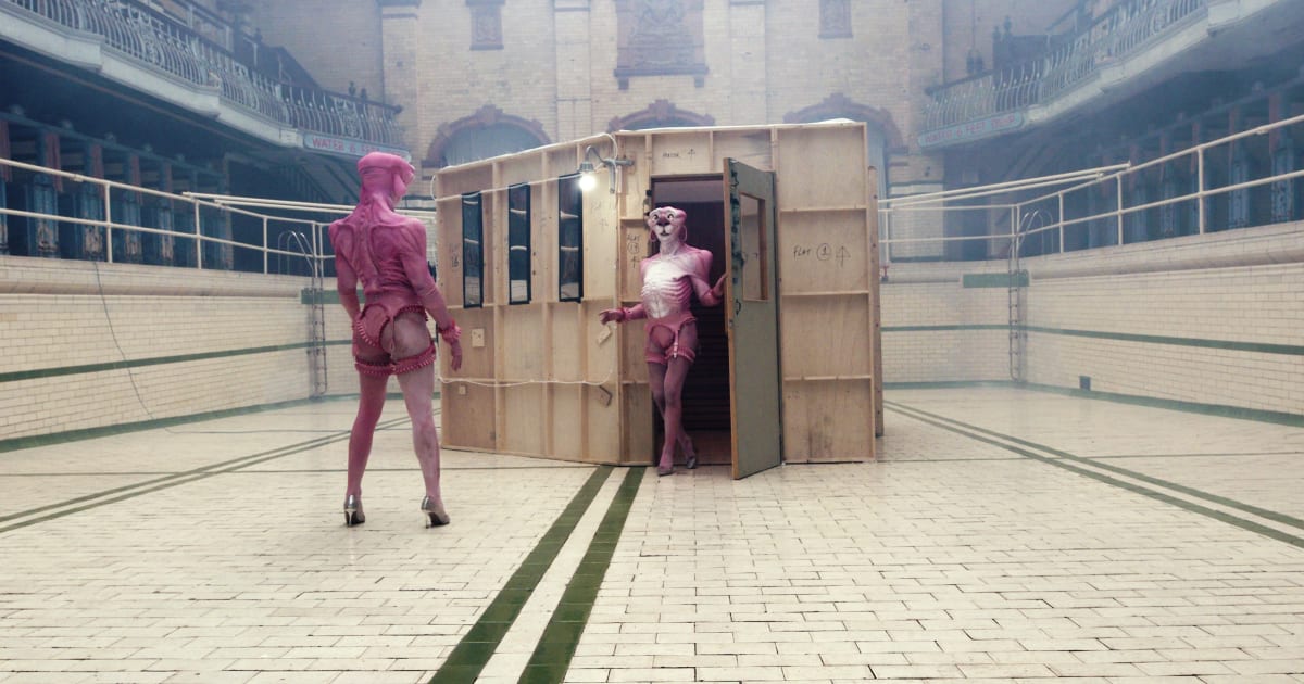 Jenkin van Zyl | Edel Assanti