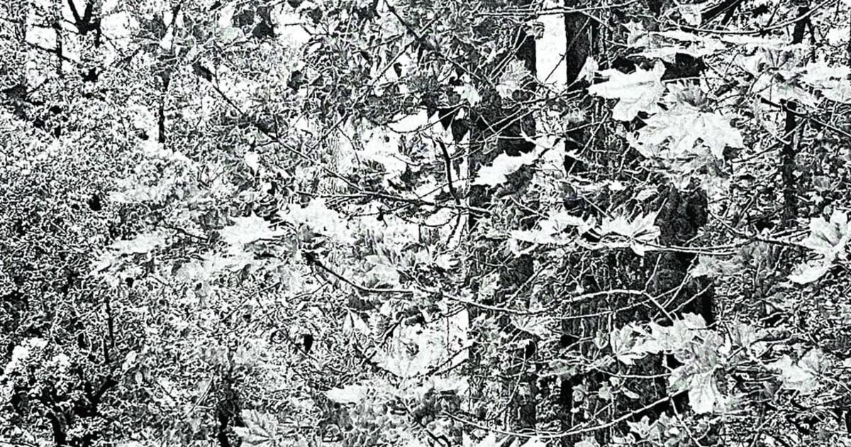 James Chronister - Works | Eleanor Harwood Gallery