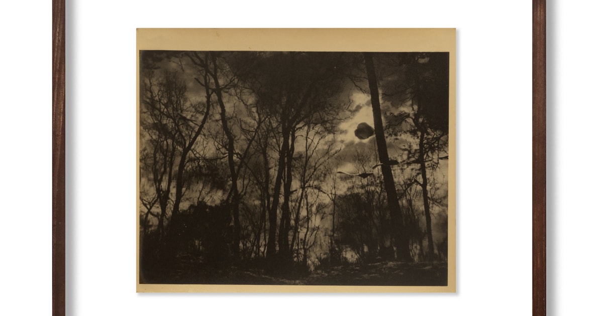 Works - Lalit Mohan Sen: An Enduring Legacy | Emami Art