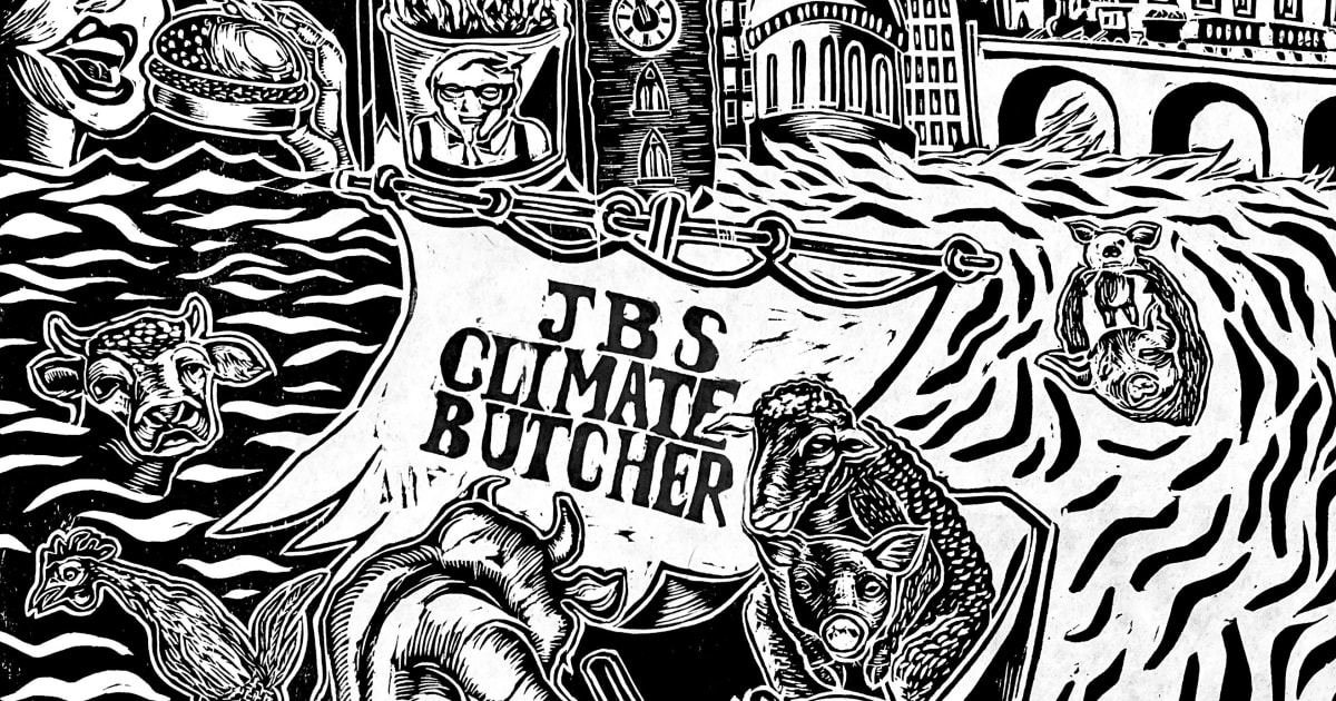 Ecocide & Environmental Degradation | www.suecoe.com