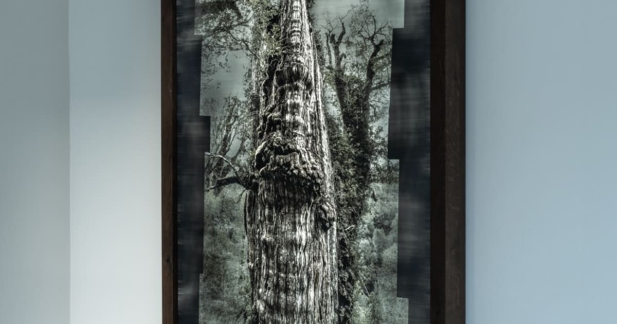 Tom Jacobi | Galerie Watson