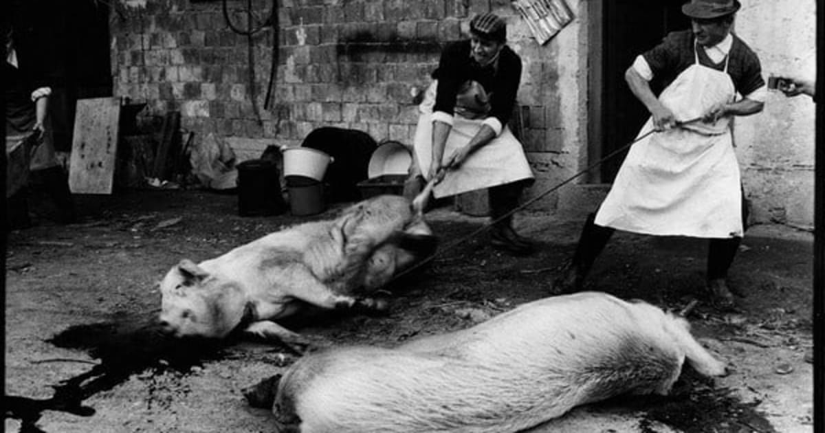Stojan Kerbler, Koline / Pig Slaughter , 1979 | Galerija Fotografija