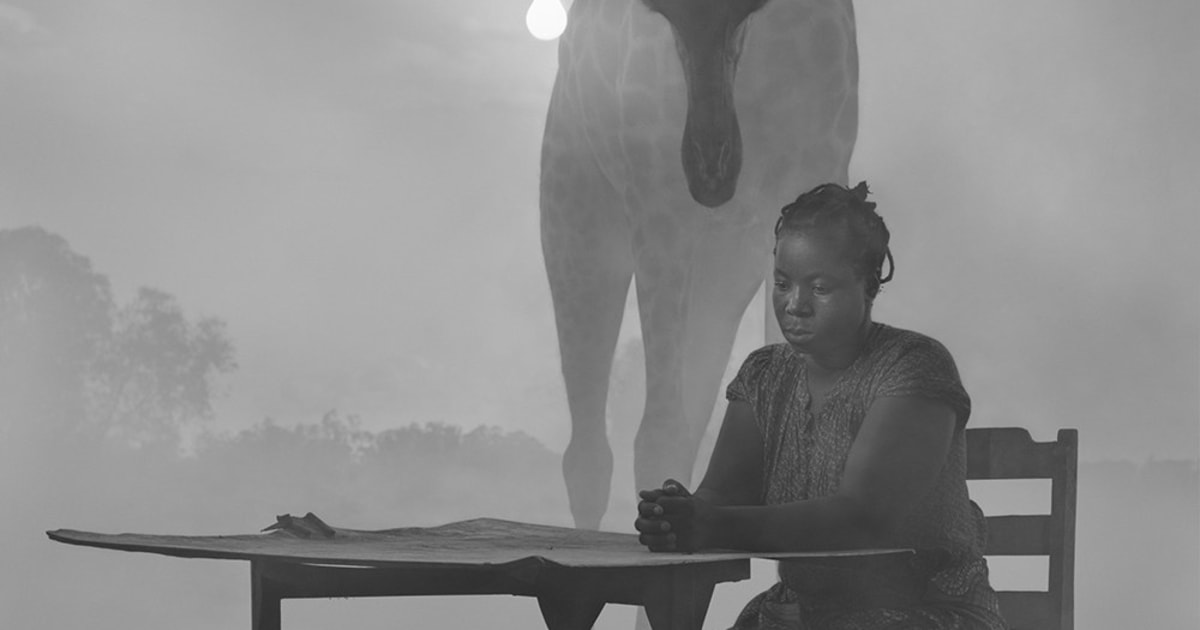 Nick Brandt, Kuda in Sky, Zimbabve / Kuda and Sky, Zimbabwe, 2020 ...