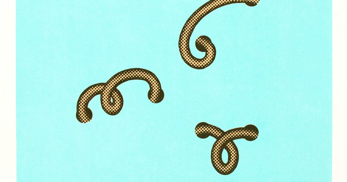 Astrid Kajsa Nylander | Belenius