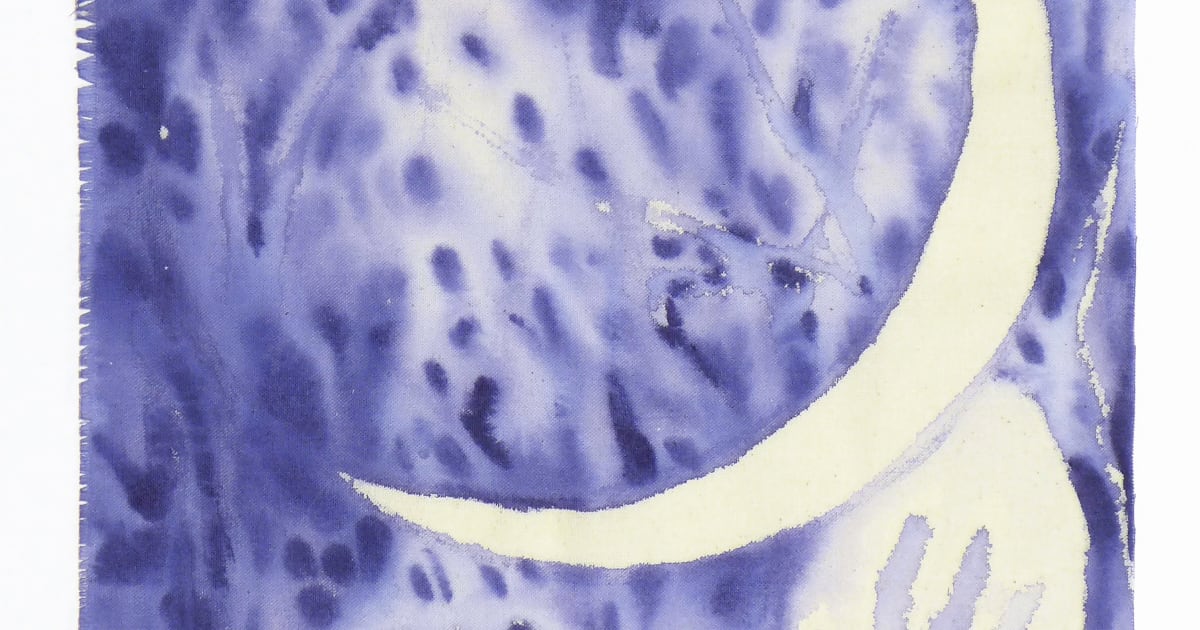 Raquel P Miller | gallery b.