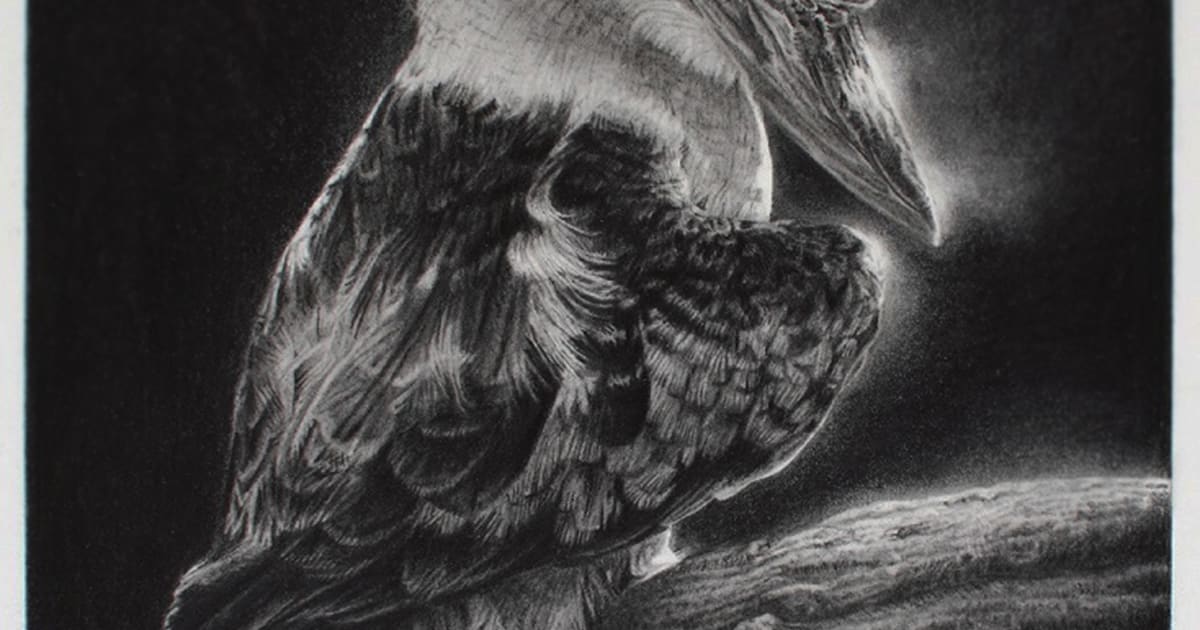 Angela French - Overview | Gallery by the Lakes