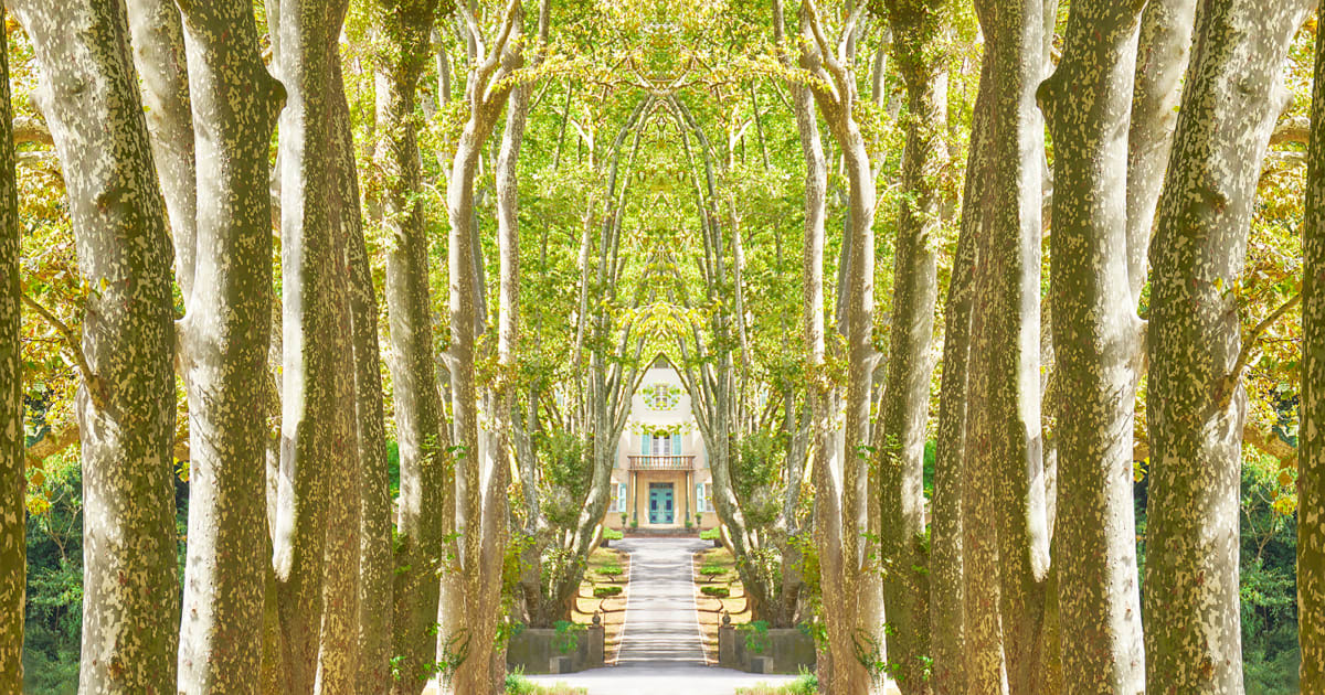 Laurie Victor Kay | 1 March - 2 April 2022 | Gilman Contemporary