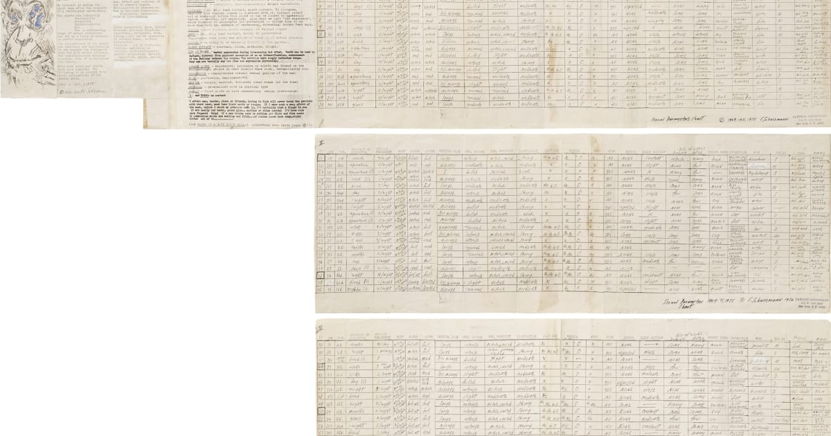 Carolee Schneemann Ye Olde Sex Chart Sexual Parameters Chart 1969