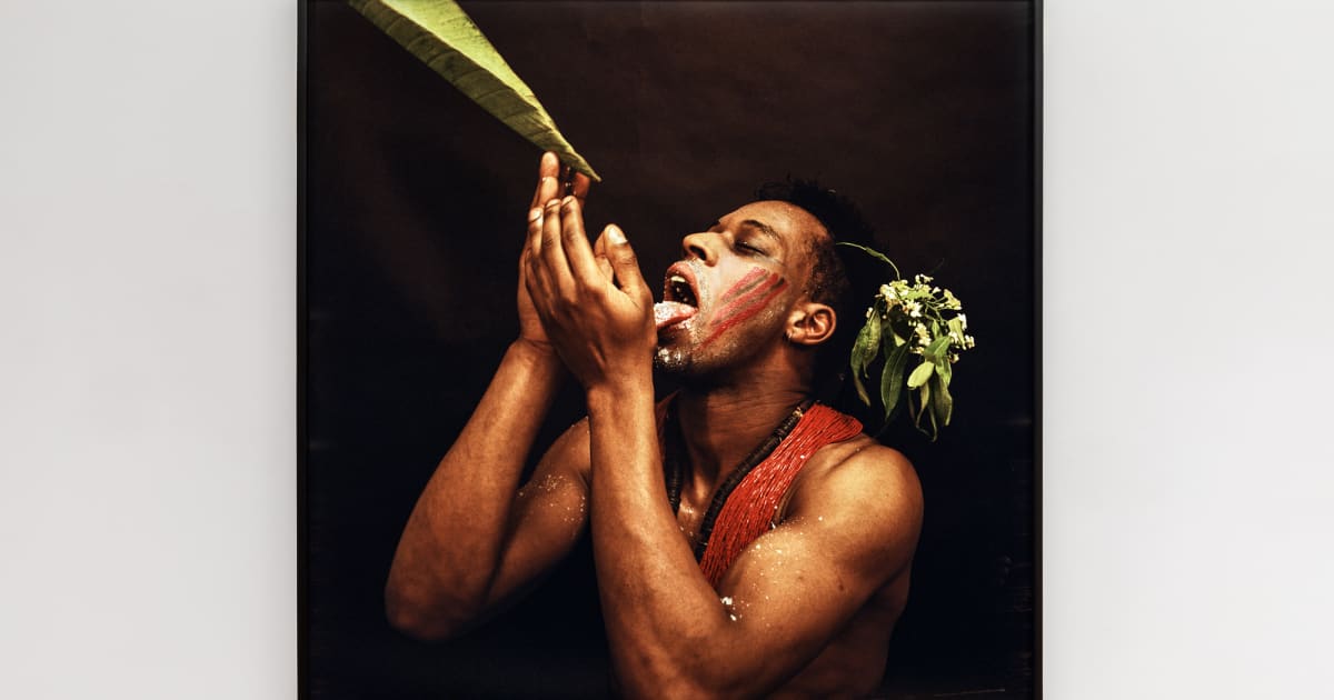 Rotimi Fani-Kayode, Nothing to Lose VII (Bodies of Experience), 1989 ...