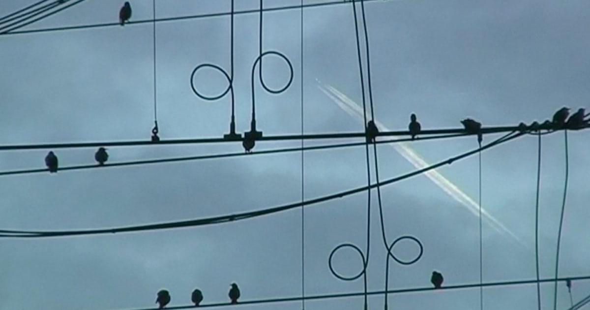 Madelon Hooykaas - Haiku, the art of the present moment | IBASHO