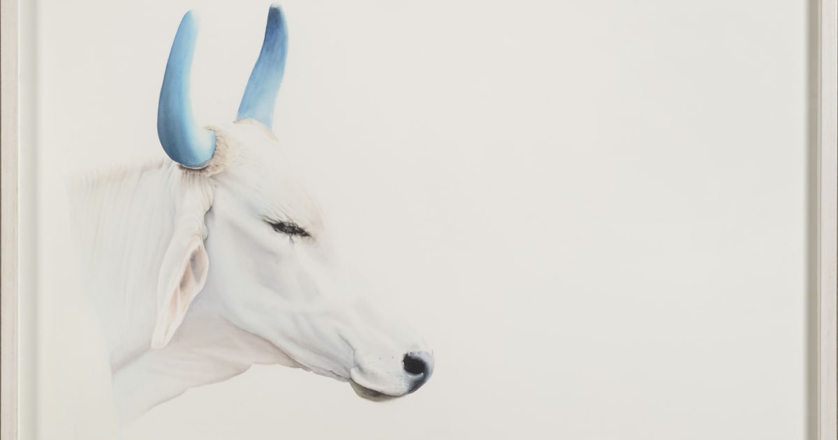 Peter Haslam-Fox - Works | Jonathan Cooper