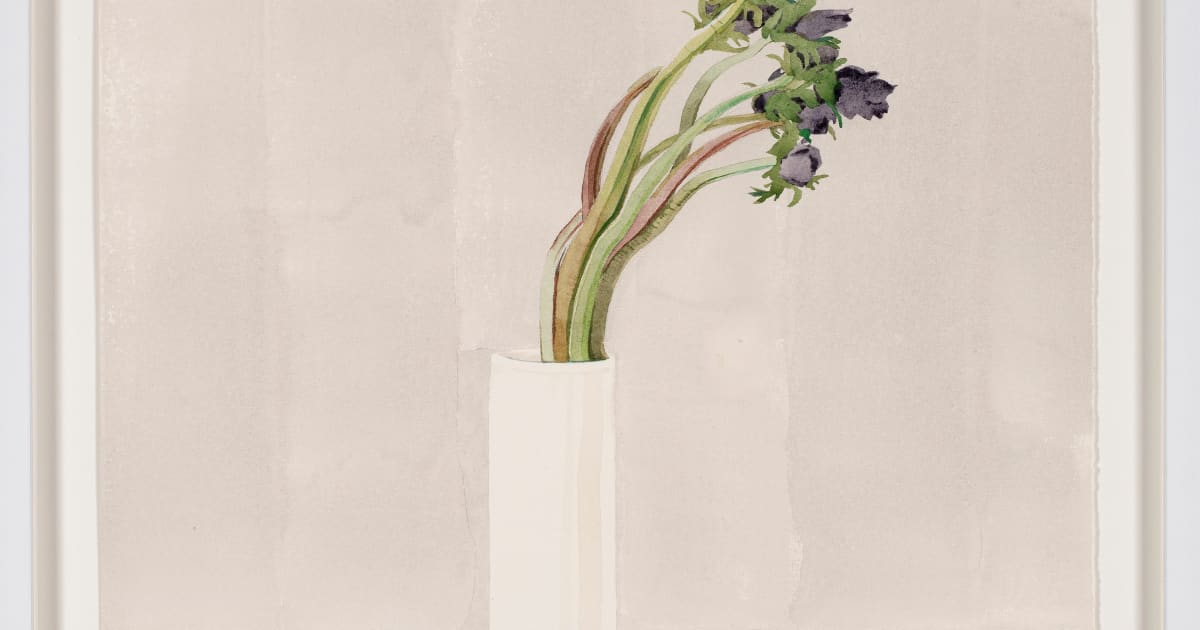 Janet Marsh - Biography | Jonathan Cooper