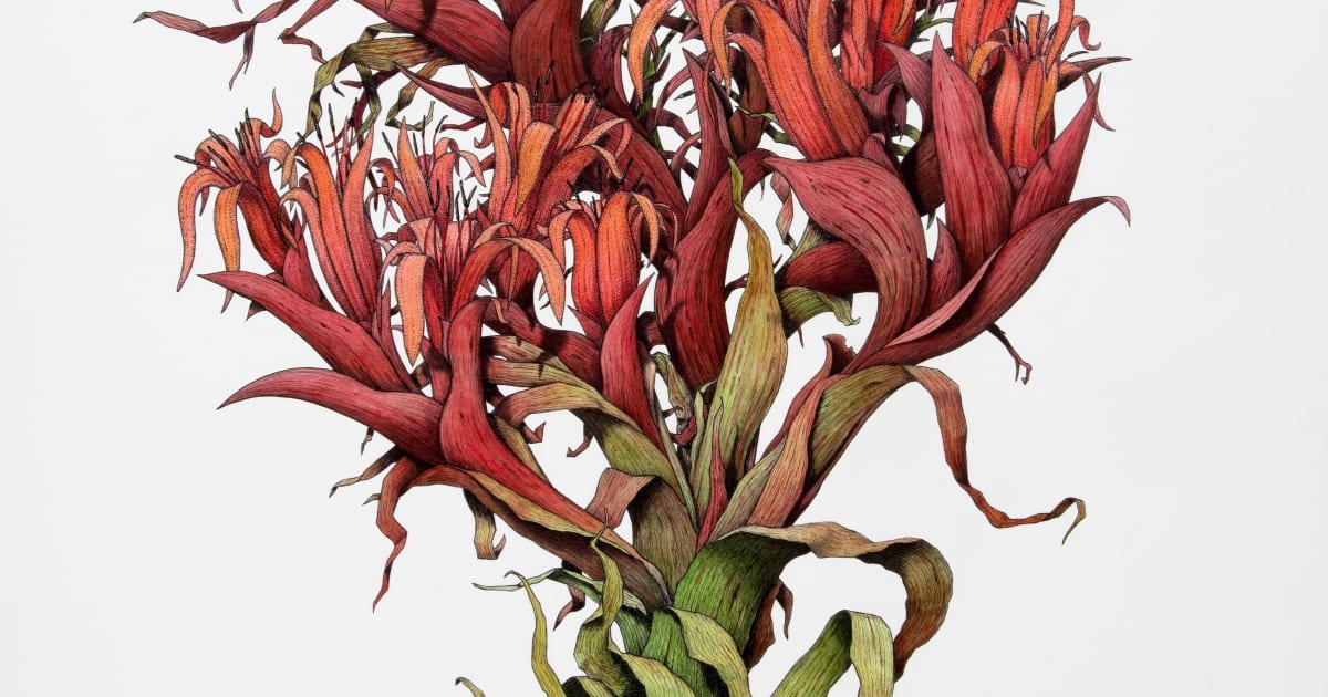 Angus Fisher - Works | Jonathan Cooper