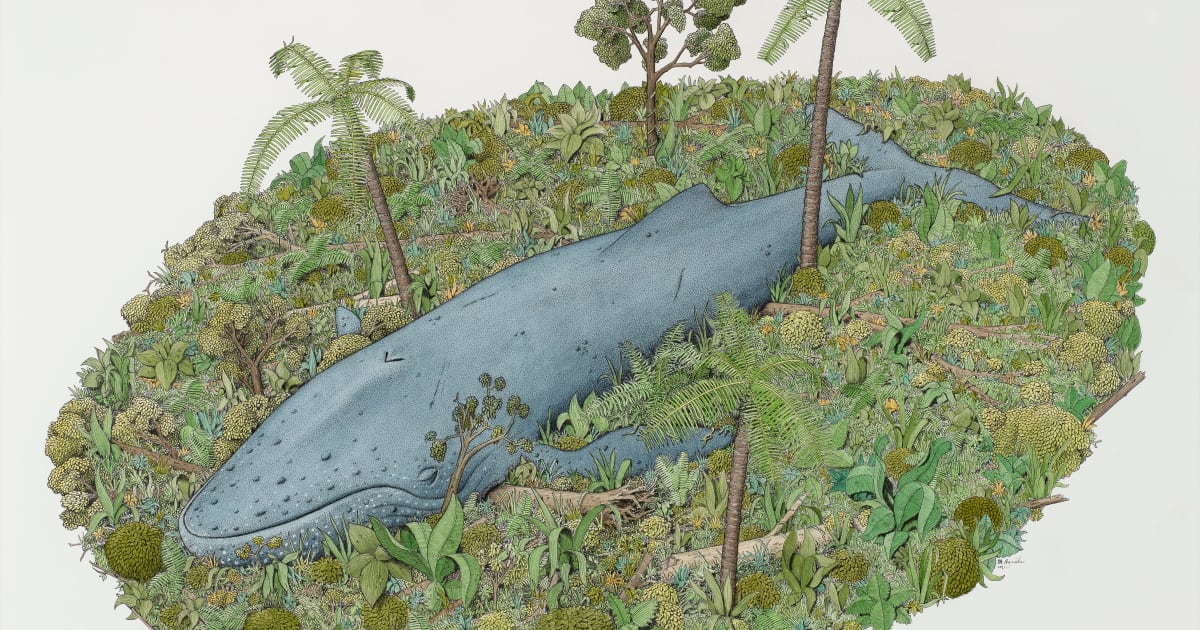 Angus Fisher | Available Works | Jonathan Cooper