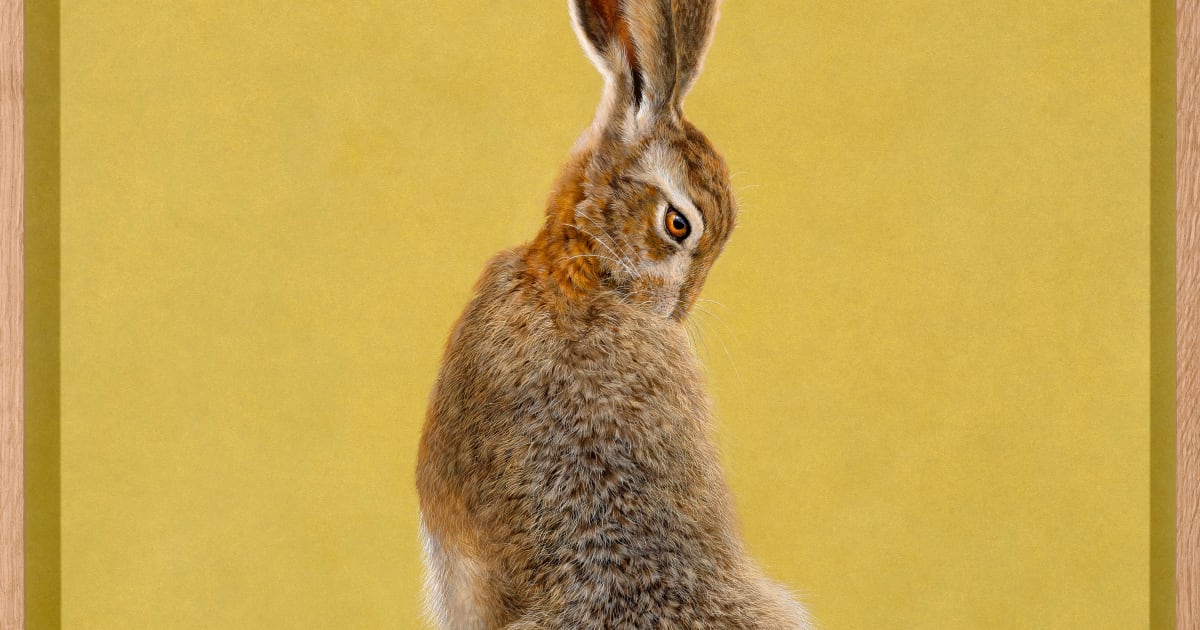 Tim Hayward - Works | Jonathan Cooper