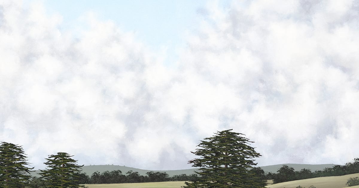 Debbie Mackenzie - Biography | kellilundberg.art