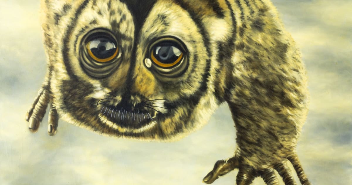 Dermot Seymour | 12 September - 12 October 2024 - Overview | Kevin Kavanagh