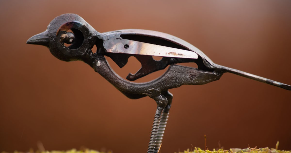 Just flown in! A pair of rowan birds by Helen Denerley | 20 November ...