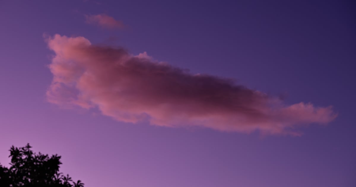 Through the nautical twilight | 2 Nov - 3 Dec 2022 | Laree Payne Gallery