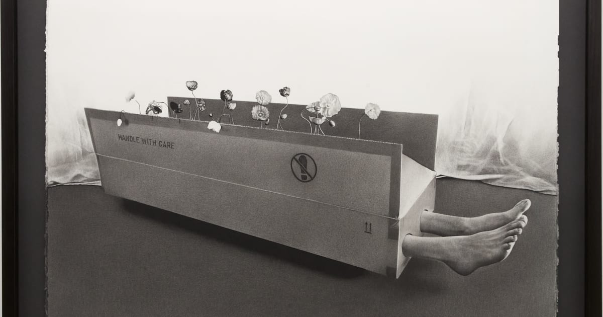 Harry McAlpine | Laree Payne Gallery