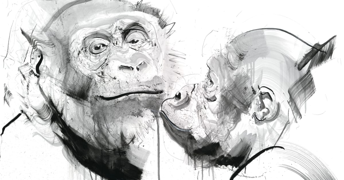 Dave White, Devotion - Overview | Loughran Gallery