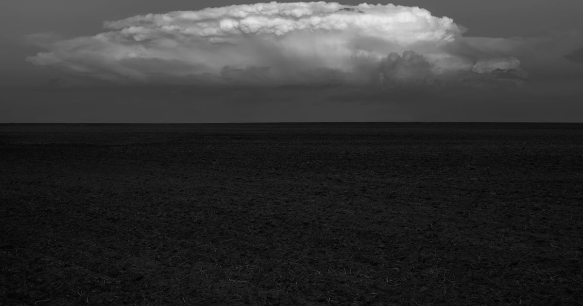 Bryan Schutmaat - Works | Marshall Gallery