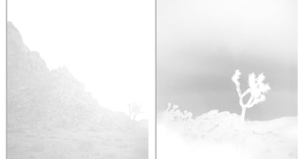 scott b. davis - Works | Marshall Gallery