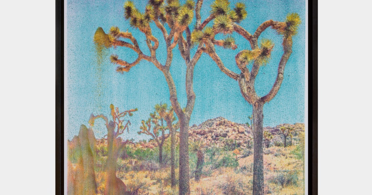 Matthew Brandt - Works | M+B