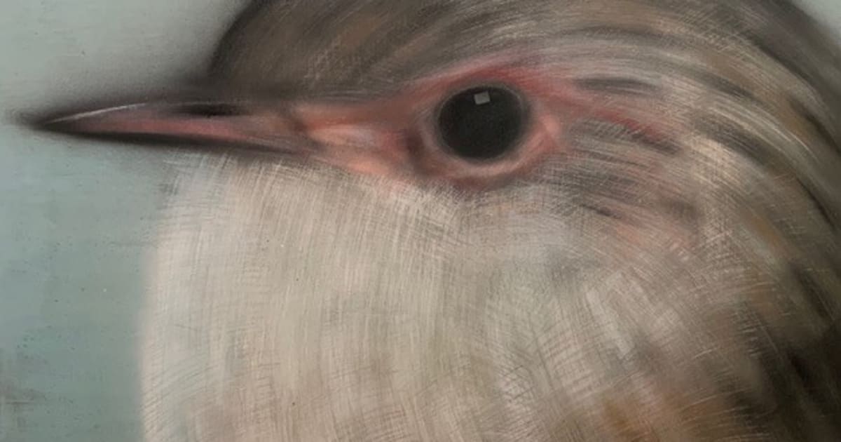 Feathers will Fly | 23 August - 9 September 2023 | Lennox St. Gallery