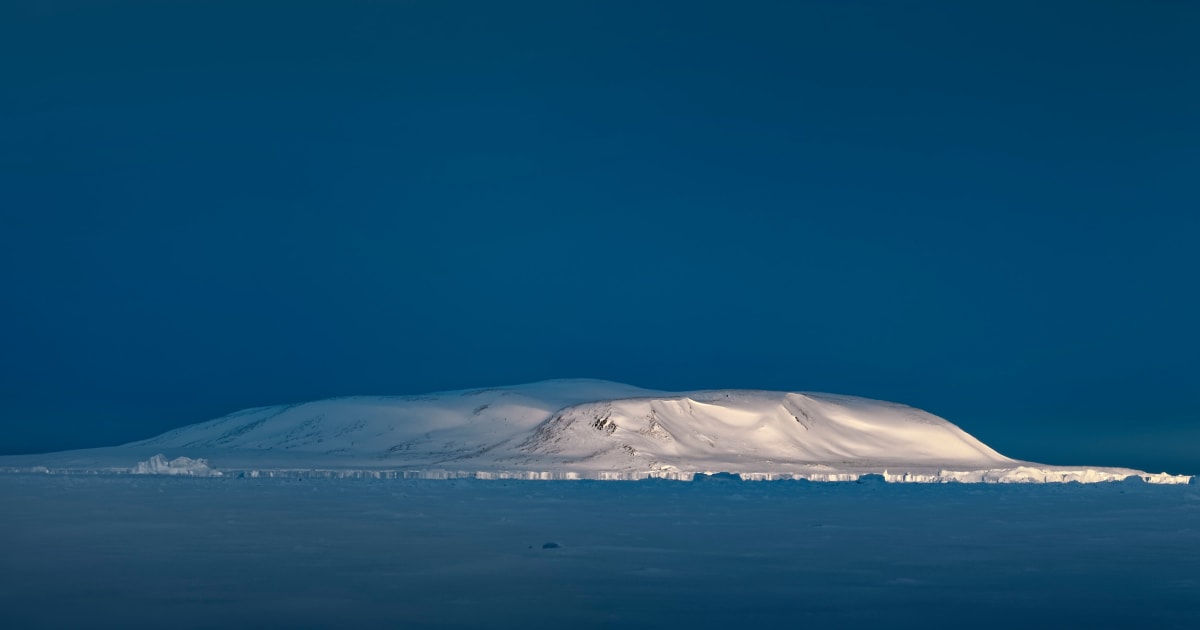 Tiina Itkonen | Michael Hoppen Gallery